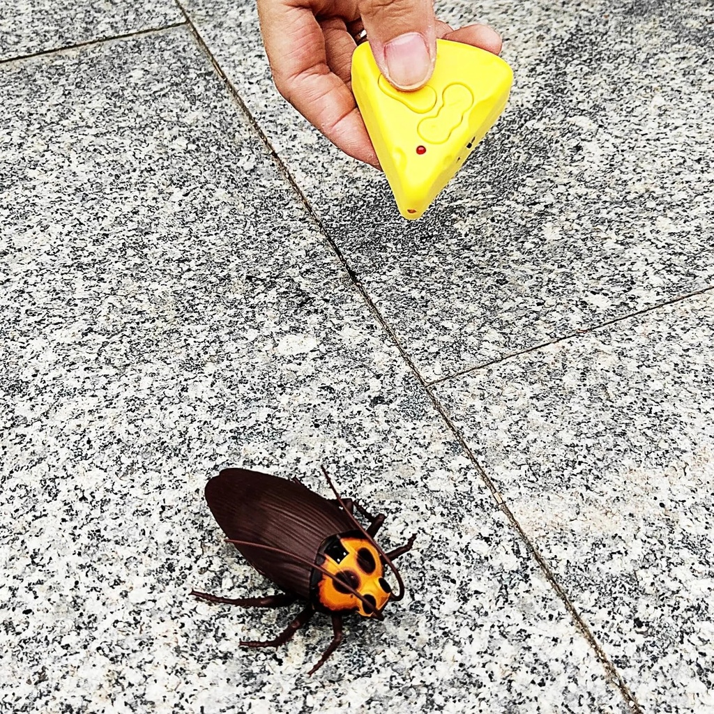 A&T TOY Mini RC Cockroach Toy – Realistic Remote Control Insect for ...