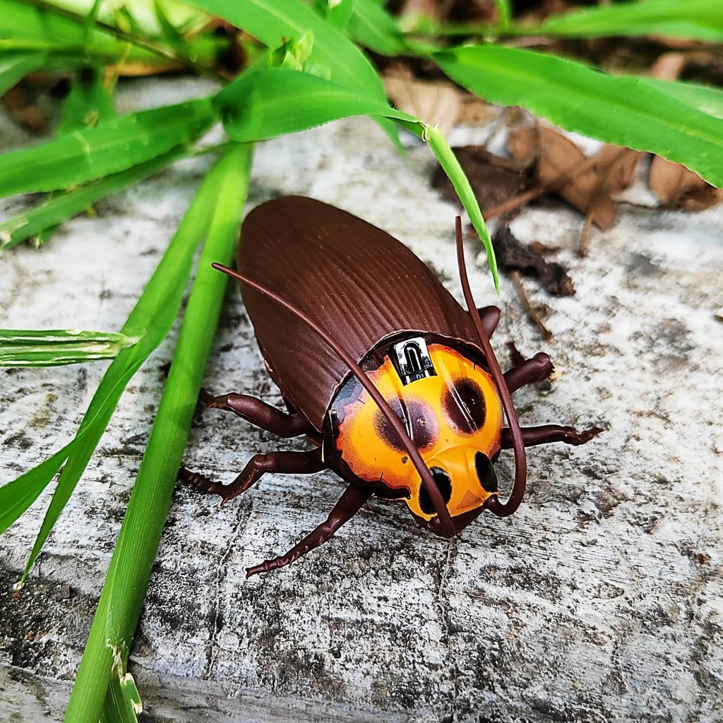A&T TOY Mini RC Cockroach Toy – Realistic Remote Control Insect for ...