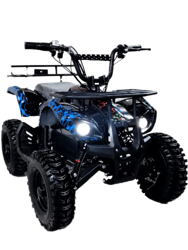 Electric ATV Quad Bike For Kids | Powerful Brushless Motor | Unique ...